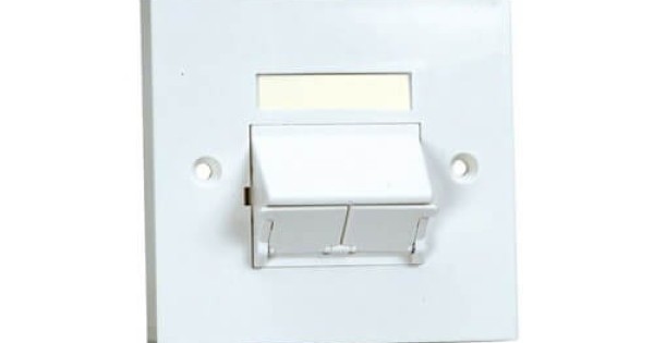 Panduit 2-Port Face Plate Price in Bangladesh